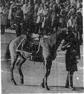 Famous Black Horses | Legends and Myths